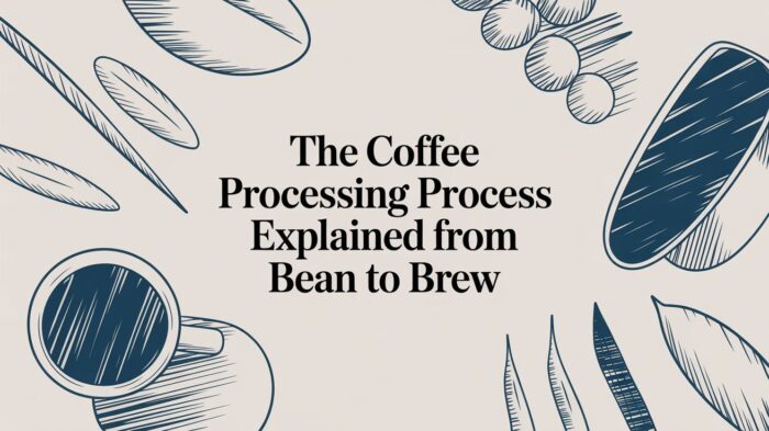 The Coffee Processing Process Explained: From Bean to Brew – Seven ...